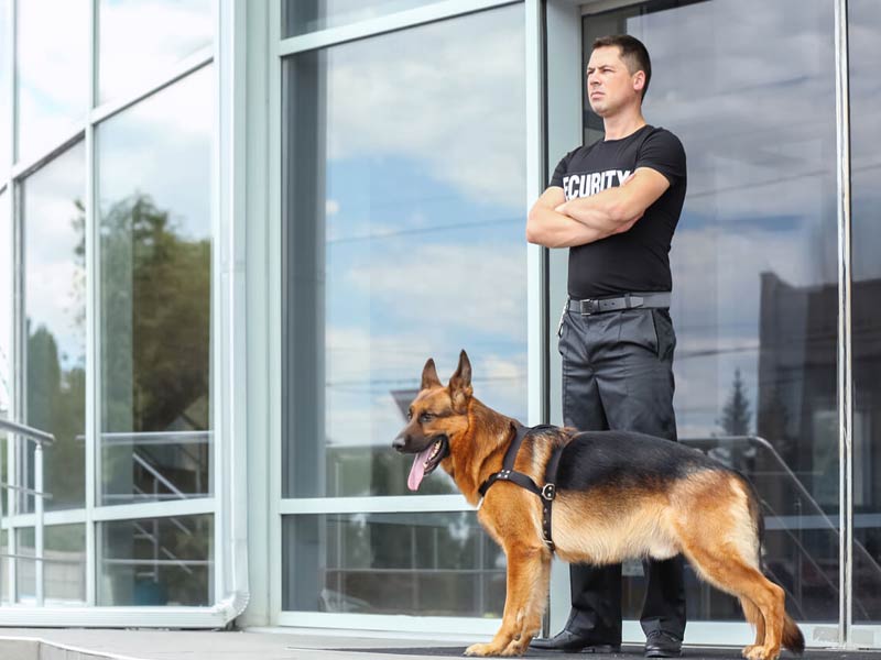 Security Services - Bespoke Security - Acre & Tweed